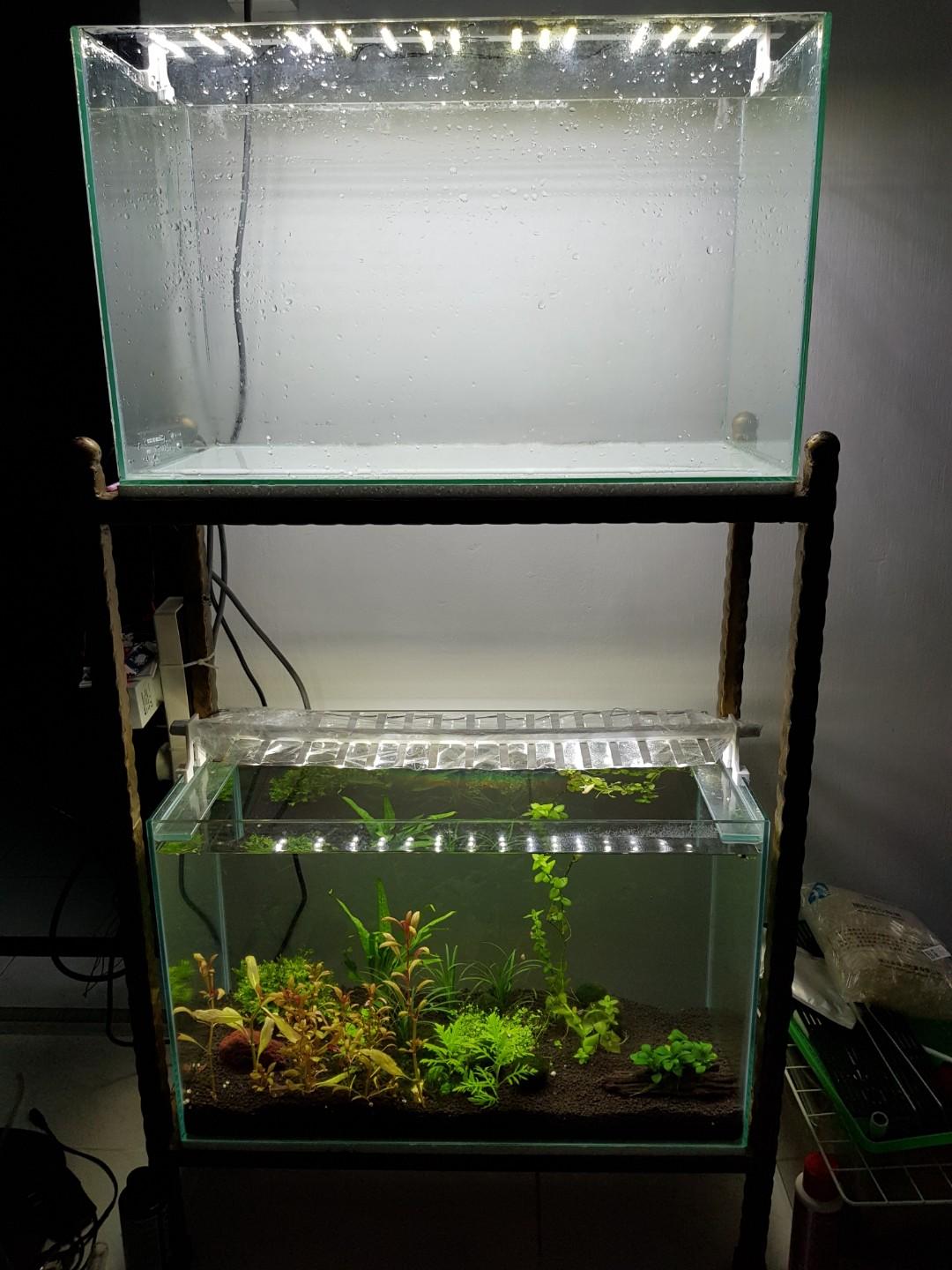 2 X 2 ft fish tank with lights, Pet Supplies, Homes & Other Pet ...