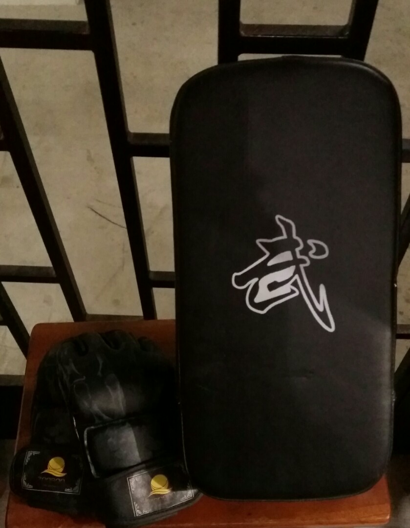 Boxing padding and Boing gloves, Sports Equipment, Sports & Games ...