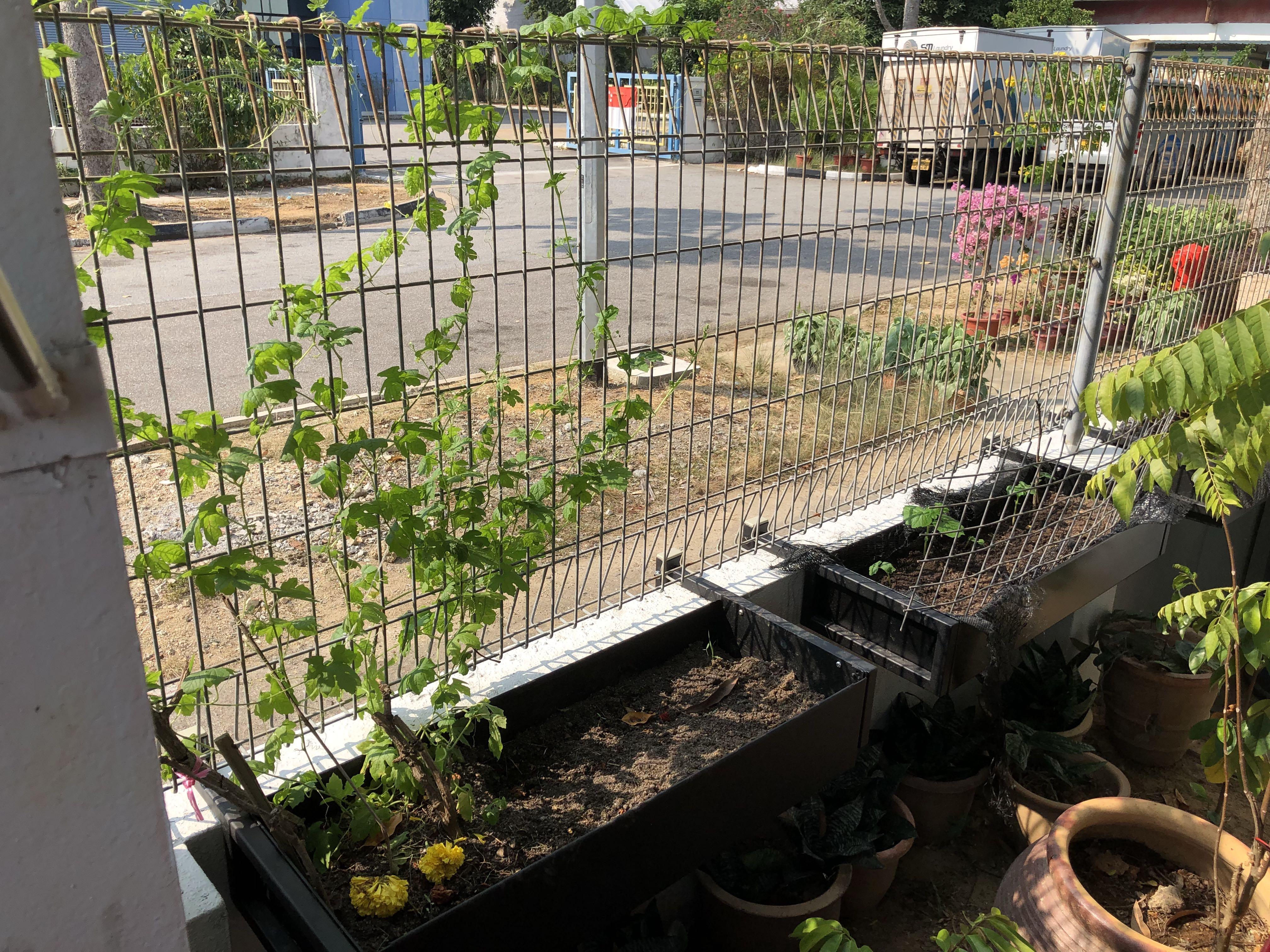 Modern Aluminium Flower Planter box , Urban Garden, Vegetable farming ...