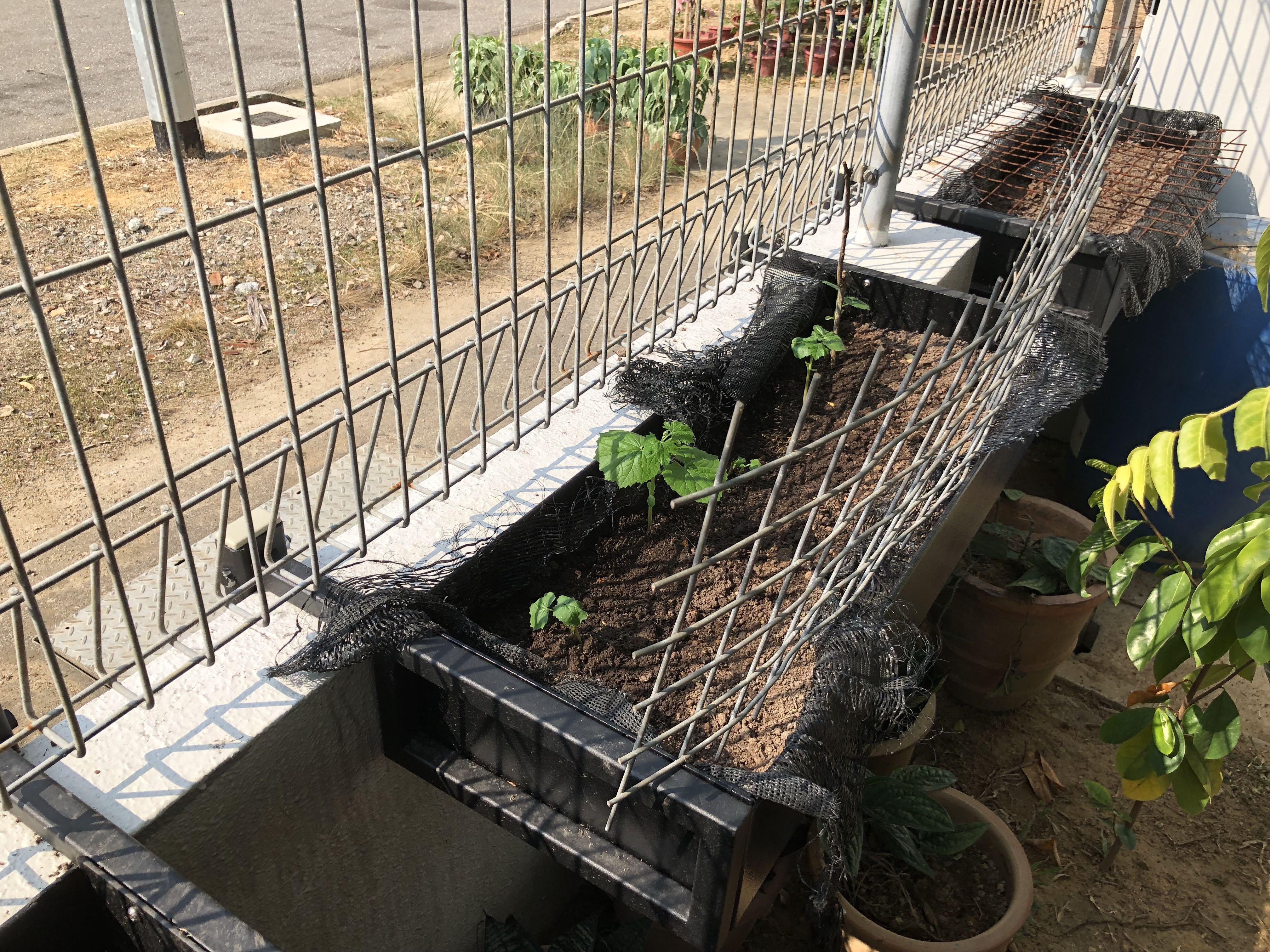 Modern Aluminium Flower Planter box , Urban Garden, Vegetable farming ...