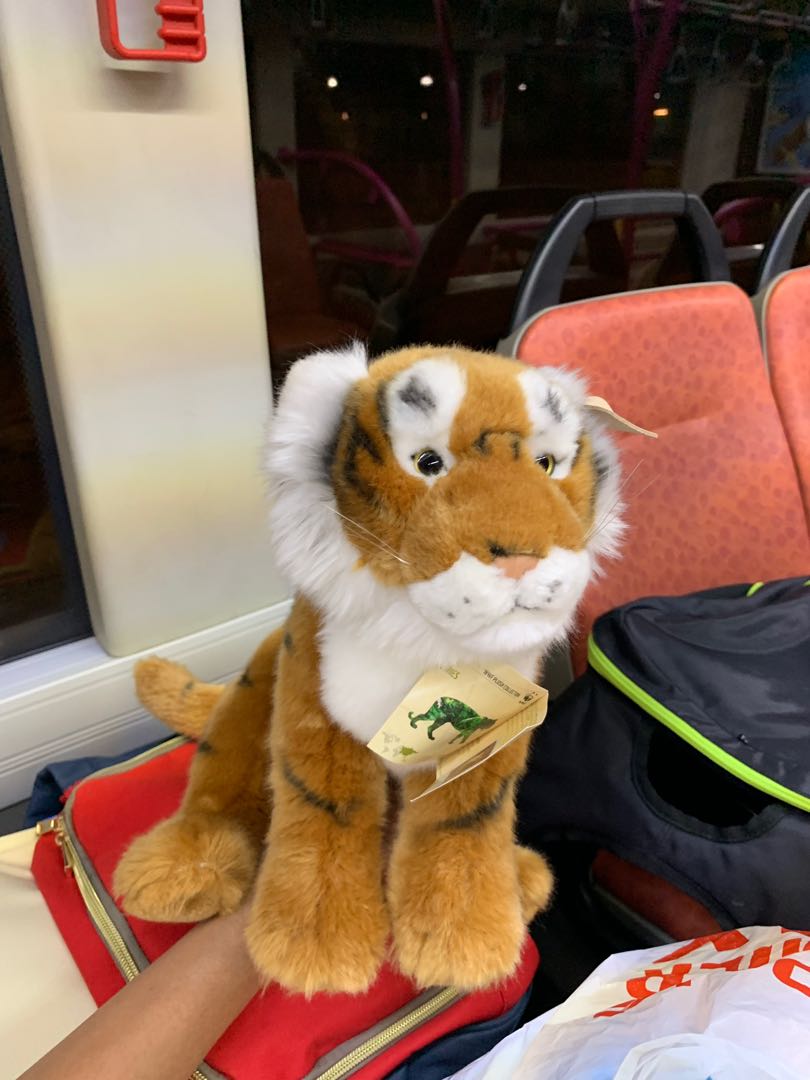 Tiger (timezone), Hobbies & Toys, Toys & Games on Carousell