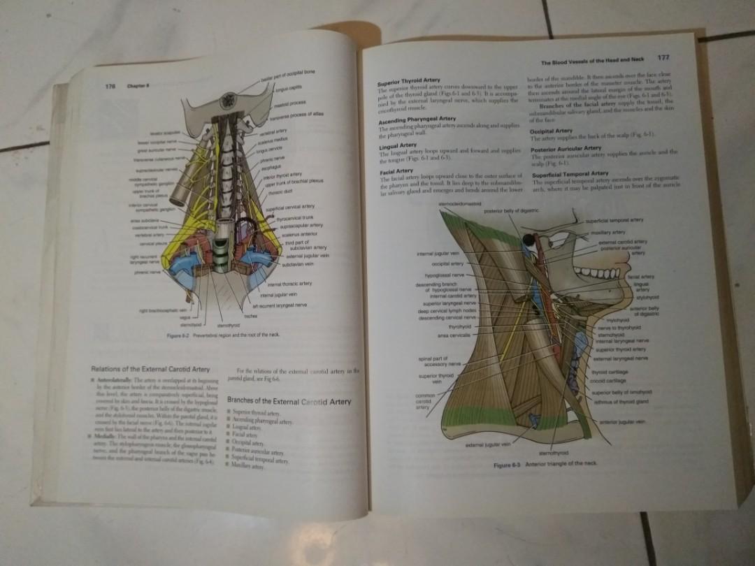 Richard Snell - Clinical Anatomy by Systems, Hobbies & Toys, Books ... Richard Snell - Clinical Anatomy by Systems, Hobbies & Toys, Books ...