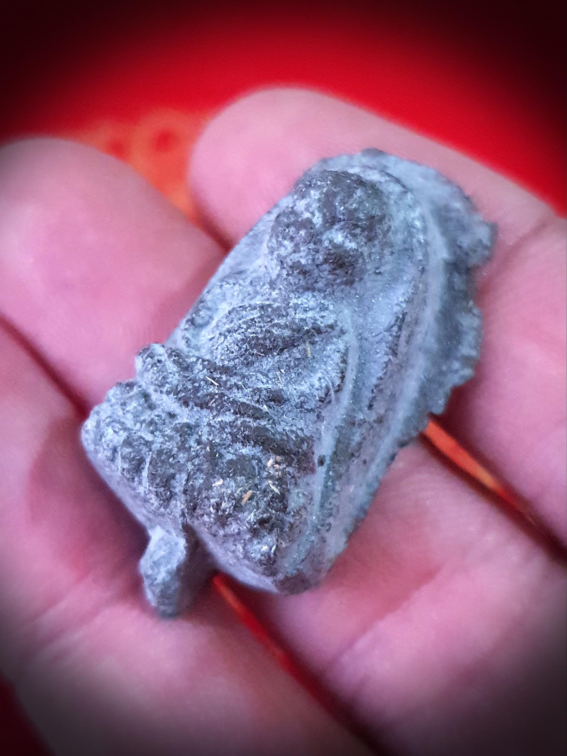 Thai Amulet - LP Thuad (Pim Phra Rod), Hobbies & Toys, Memorabilia ...