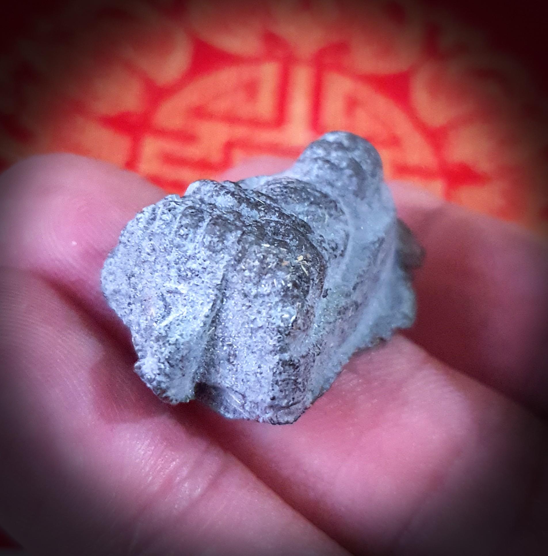 Thai Amulet - LP Thuad (Pim Phra Rod), Hobbies & Toys, Memorabilia ...