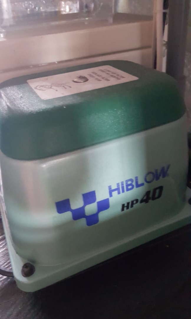 Hiblow 40 Air Pump, Pet Supplies, Homes & Other Pet Accessories on Carousell