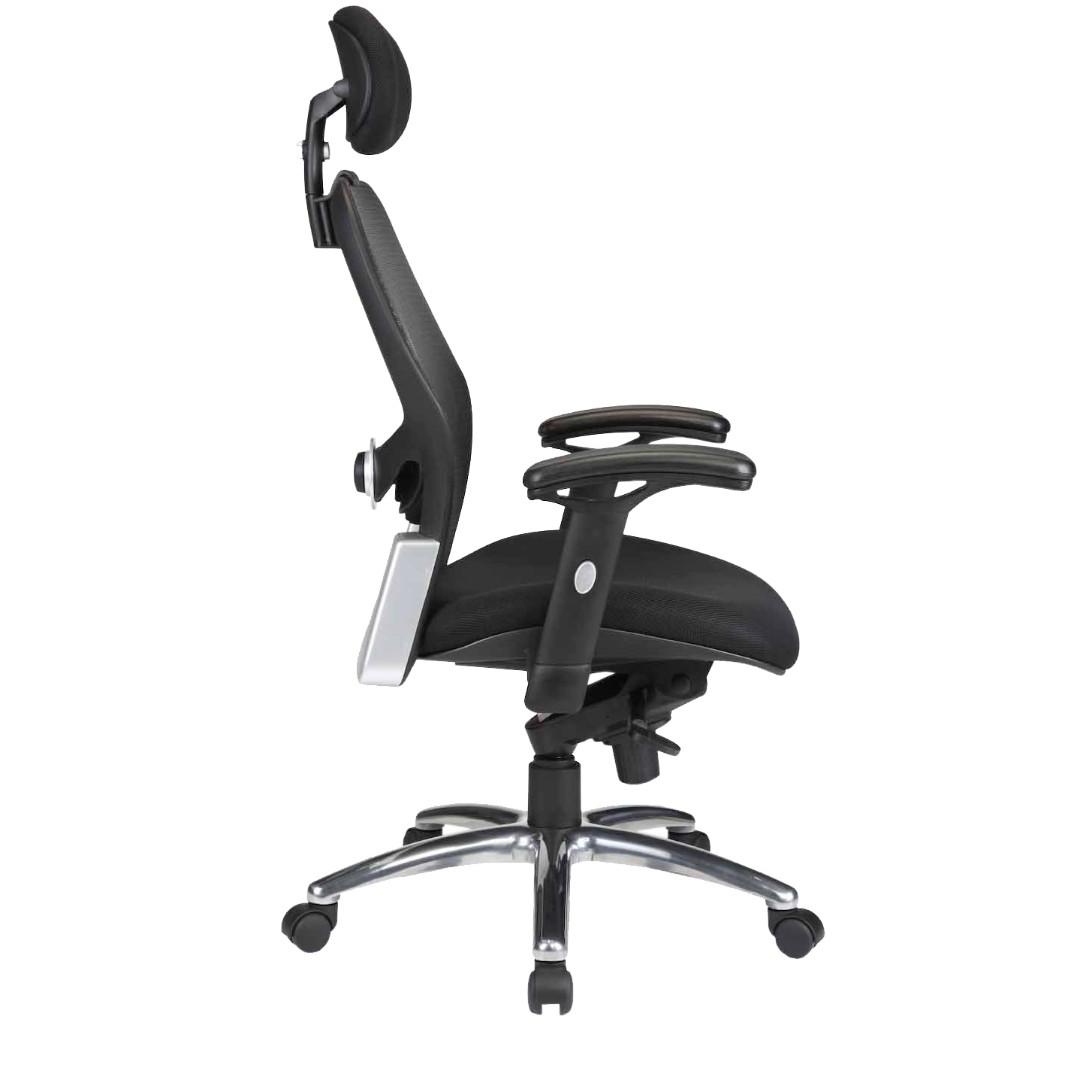 Ergodynamic EHC-420 Executive Mesh Office Chair (Black) Executive ...