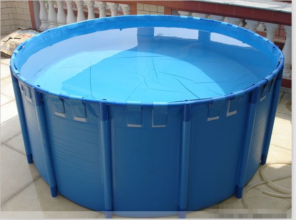 Foldable/Collapsible Koi Fish Viewing Tank, Pet Supplies, Homes & Other ...