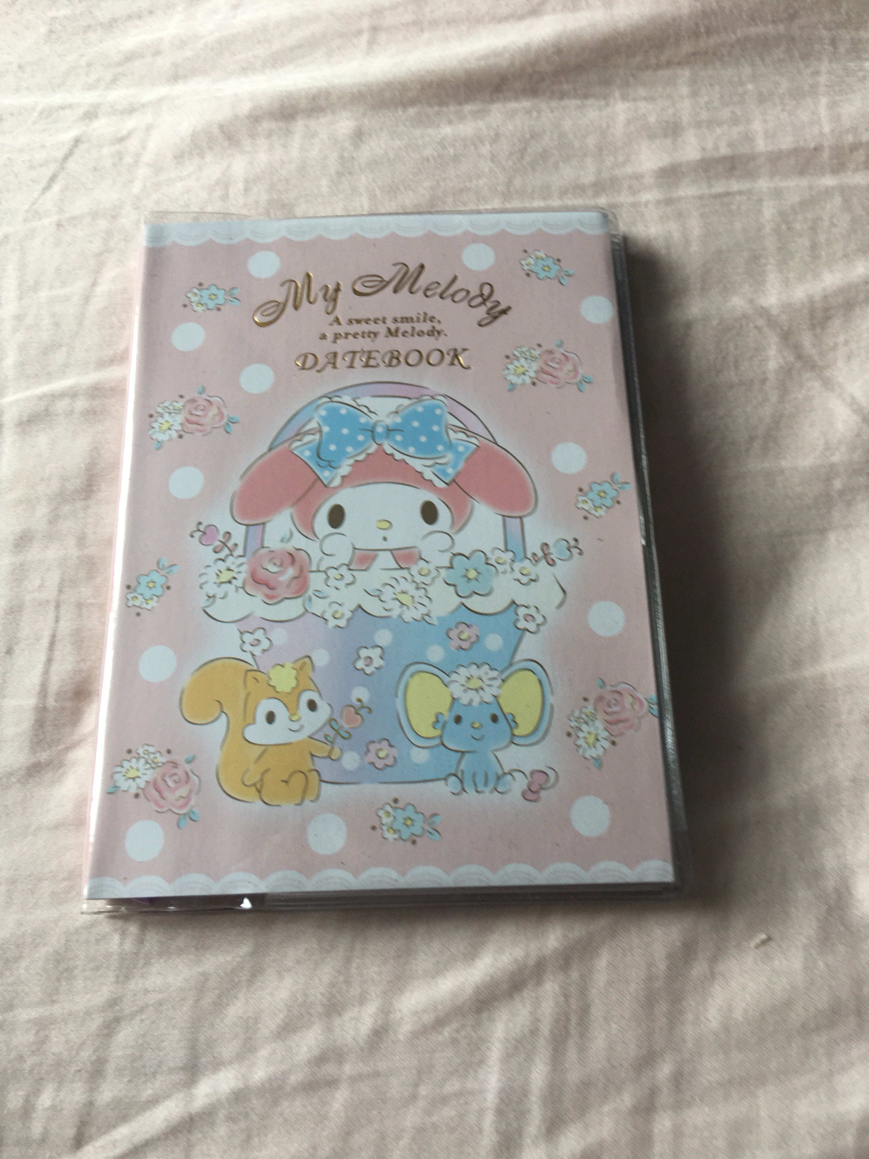 My Melody Planner (Small), Hobbies & Toys, Stationery & Craft ...