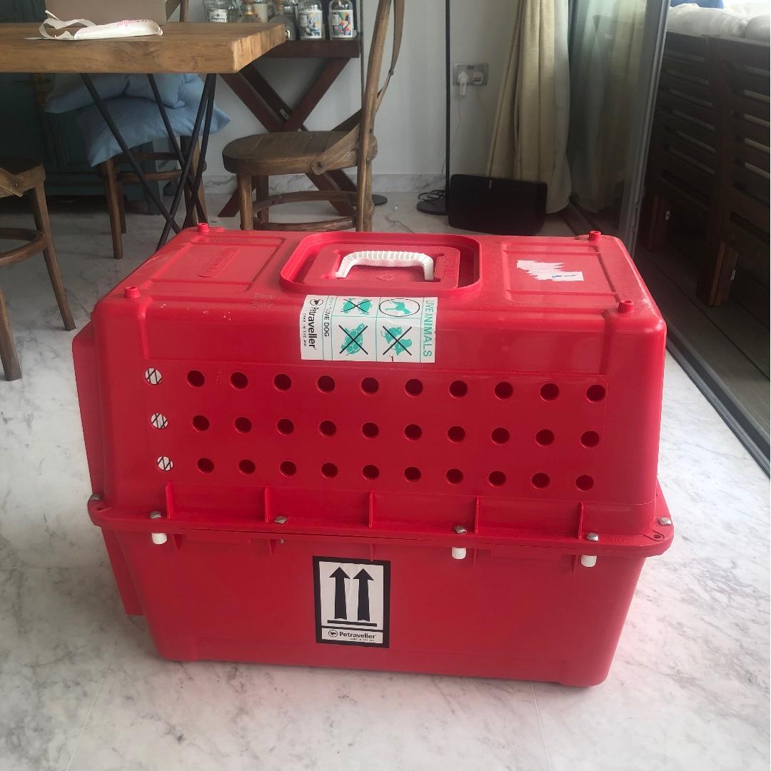 Free Petraveller Approved Sky Crate, Pet Supplies, Homes & Other Pet ...