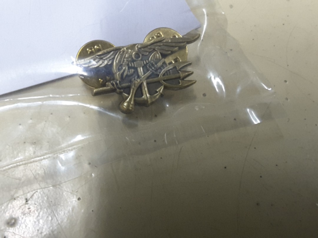 US NAVY SEAL PIN, Hobbies & Toys, Collectibles & Memorabilia, Vintage ...