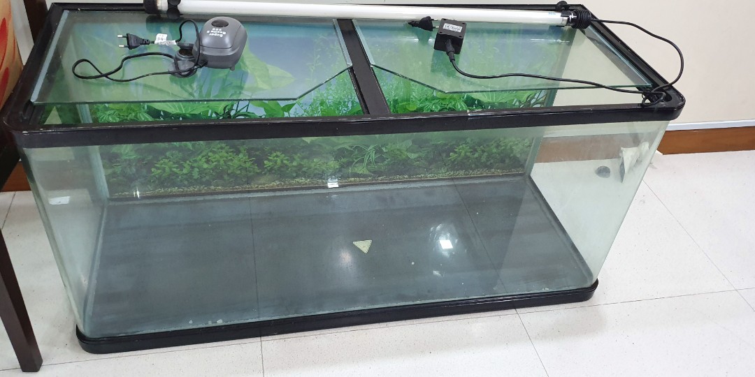4 Ft Fish Tank (curve front edge) with cabinet for sale, Pet Supplies ...