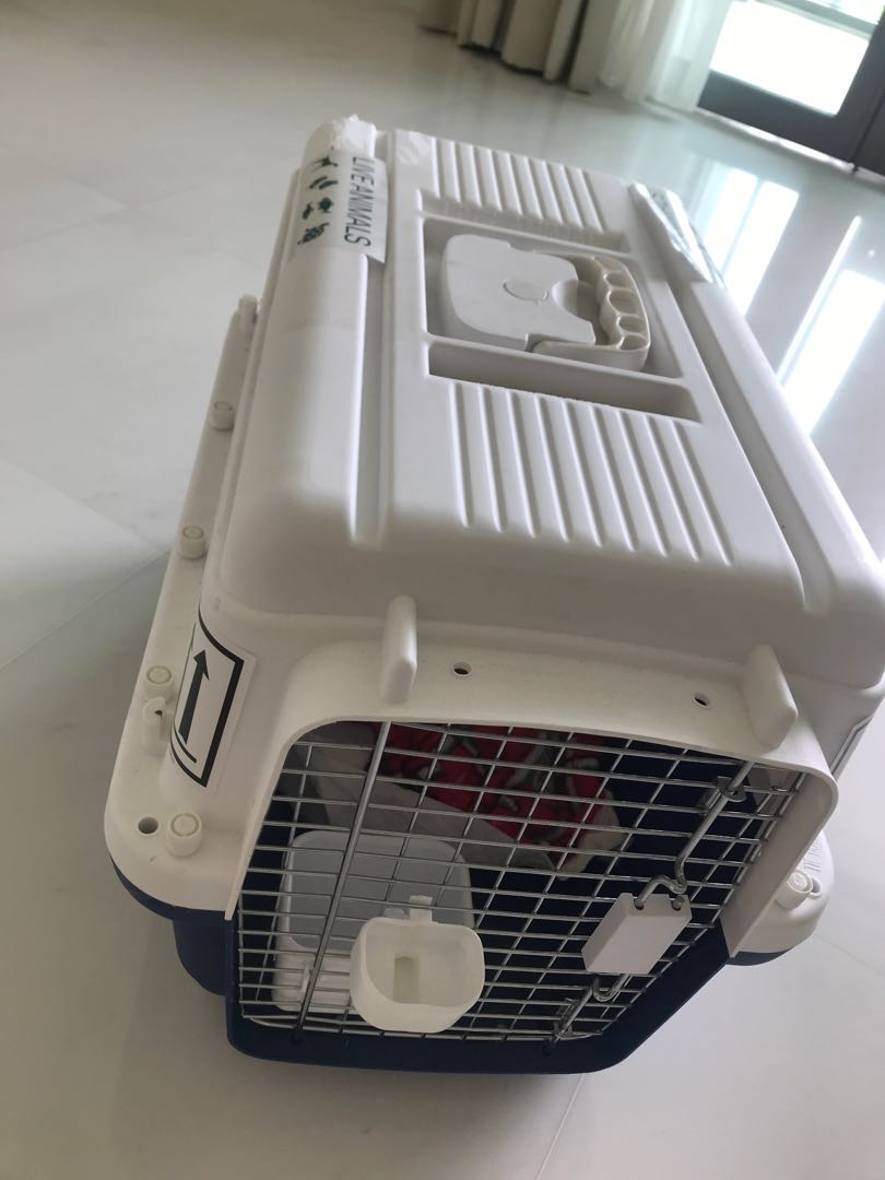 IATA-approved Pet Crate for Aviation Travel, Pet Supplies, Homes ...