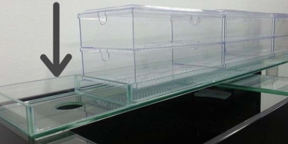 NEW Overhead filter OHF glass tray base for 5 feet ft Mr Aqua, Pet ...