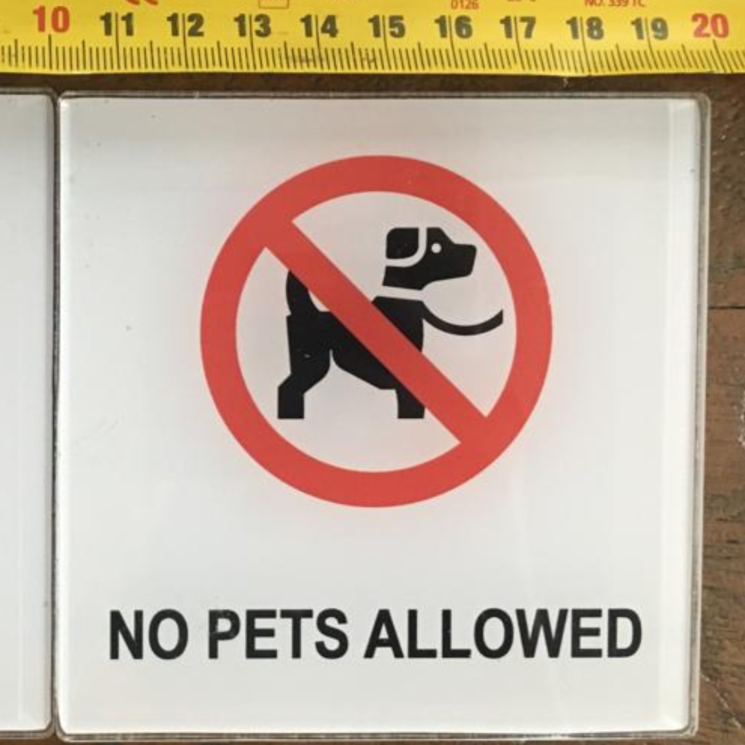 No Pet Allowed Acrylic Sign 100 x 100mm, Hobbies & Toys, Stationery ...