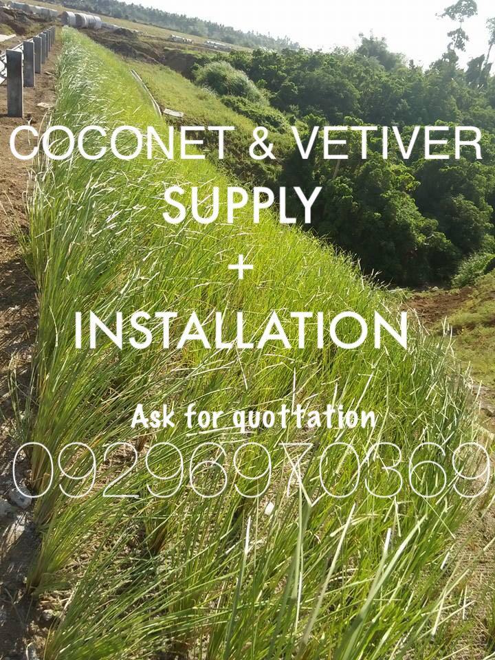 Coconet slope installation + Vetiver grass, Everything Else, Others on ...