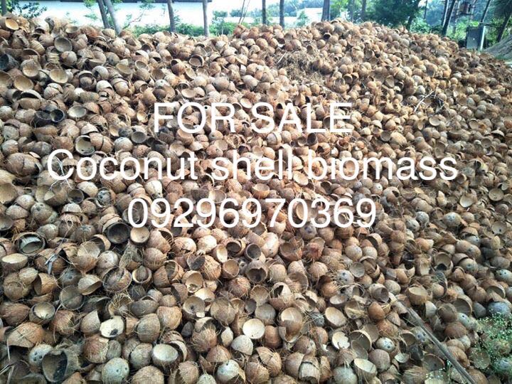 Coconut shell| bao ng niyog for sale, Everything Else, Others on Carousell