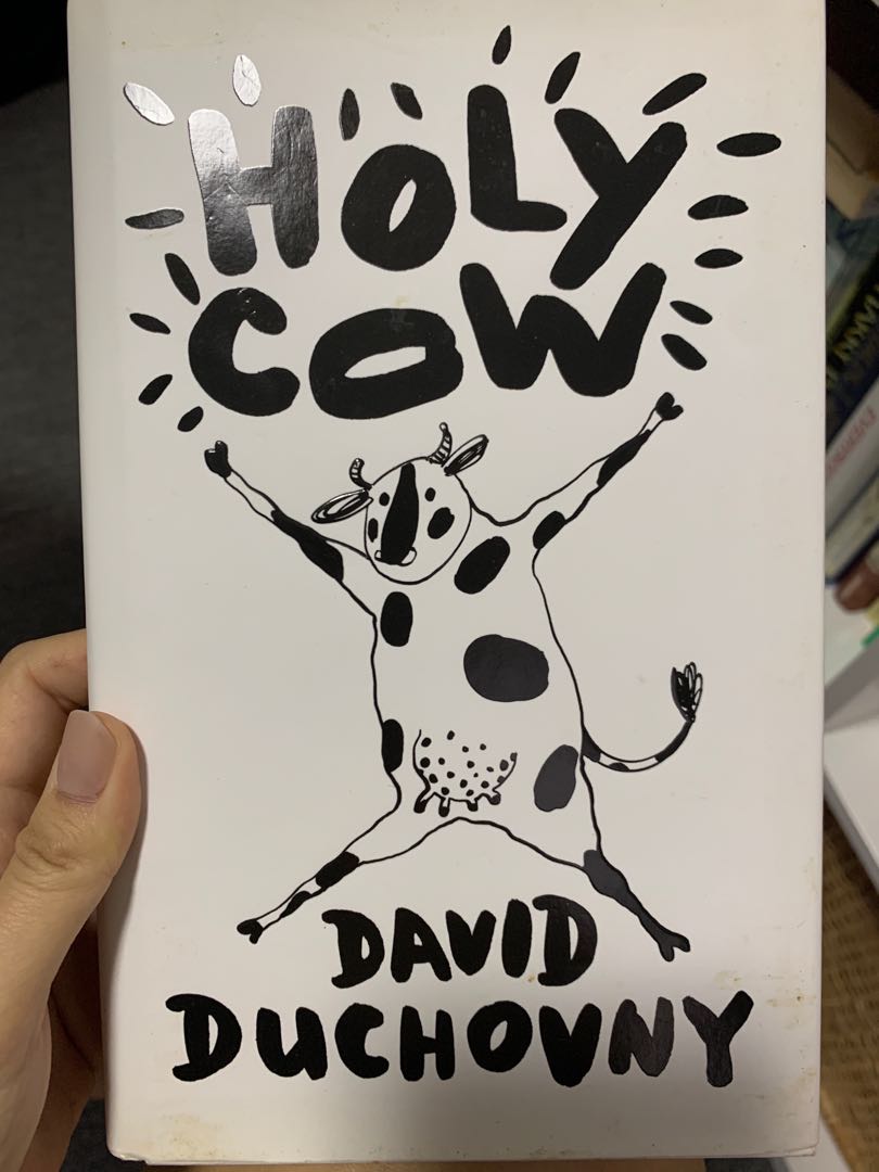 Holy cow, Books & Stationery, Fiction on Carousell