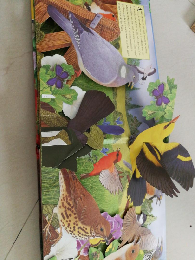 Children Book 3D pop out book, Hobbies & Toys, Books & Magazines ...