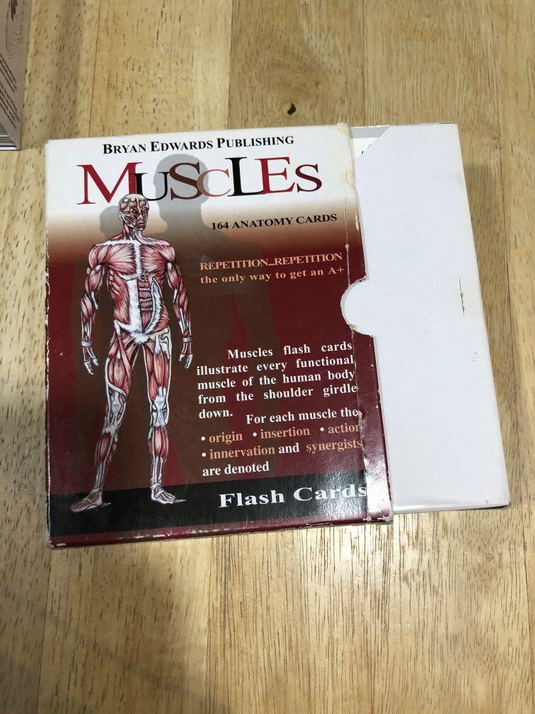 Stott Pilates Anatomy Test Must Muscle Flash Card By Bryan Edwards Publishing Hobbies And Toys