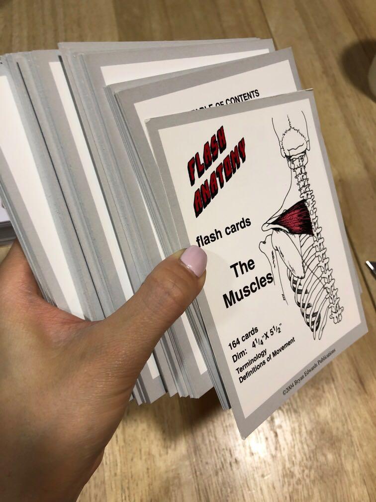 Stott Pilates Anatomy Test Must Muscle Flash Card By Bryan Edwards Publishing Hobbies And Toys