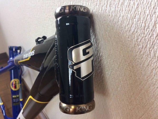 Legendary GT Brian Lopes Limited edition frame, Bicycles & PMDs ...