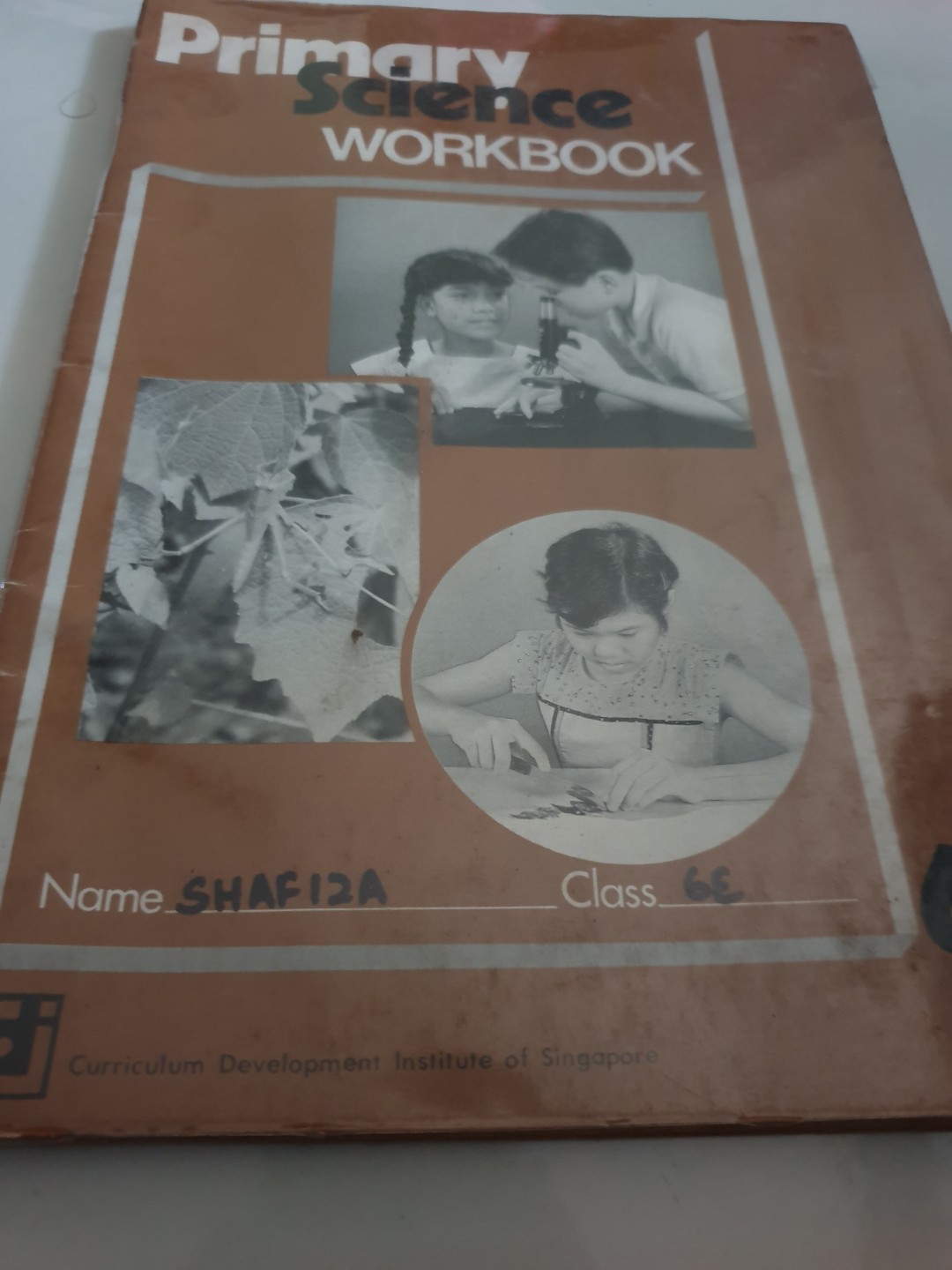 Primary Science Workbook 6a, Hobbies & Toys, Books & Magazines ...