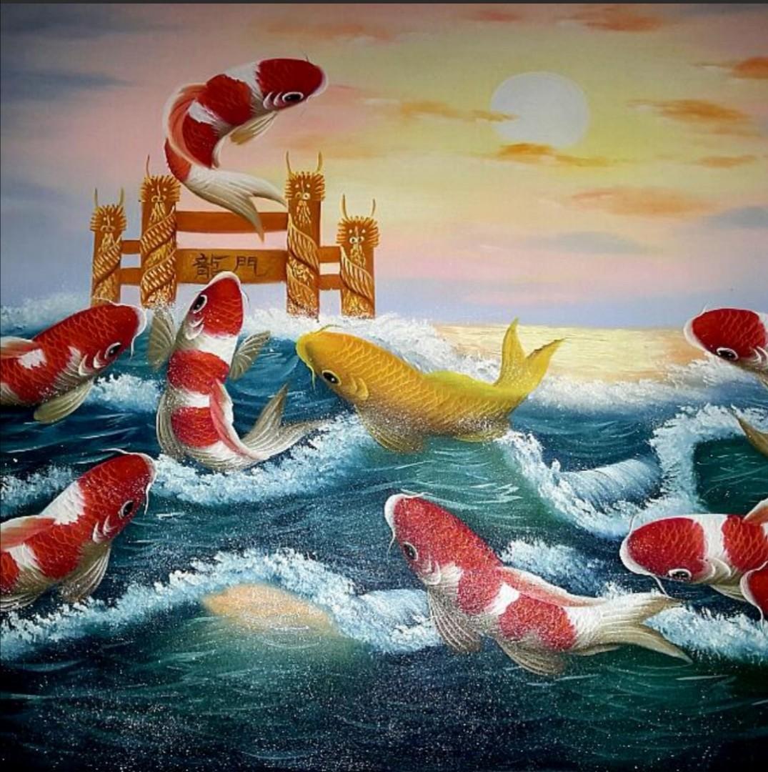 dragon gate koi