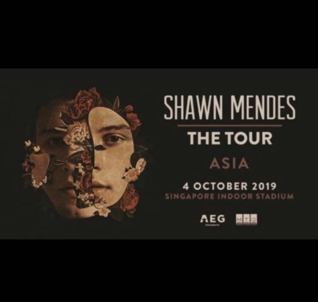 Shawn Mendes Concert Cat3, Tickets & Vouchers, Event Tickets on Carousell