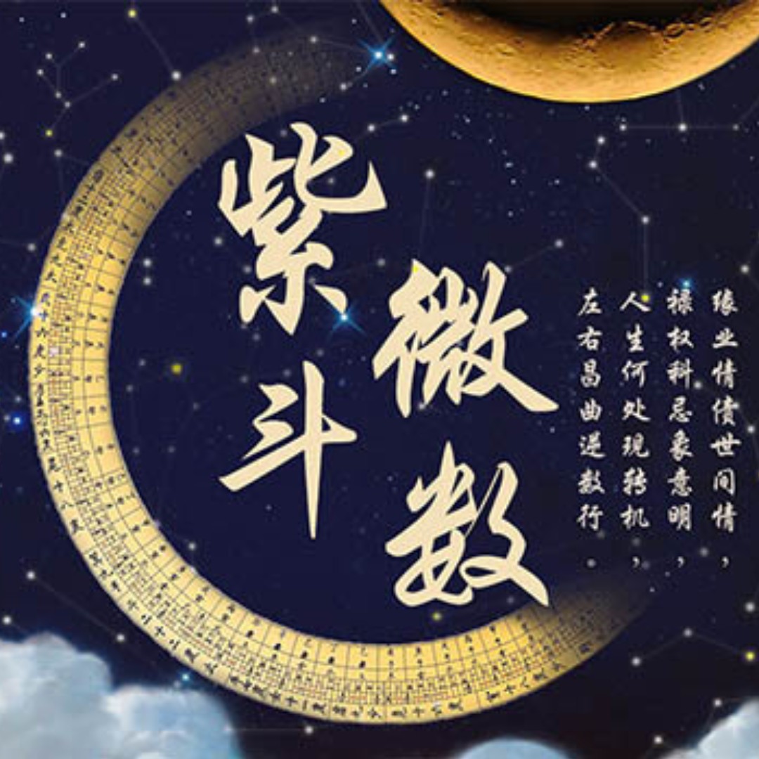 Life Analysis Report Using Zi Wei Dou Shu (紫微斗数), Hobbies & Toys ...