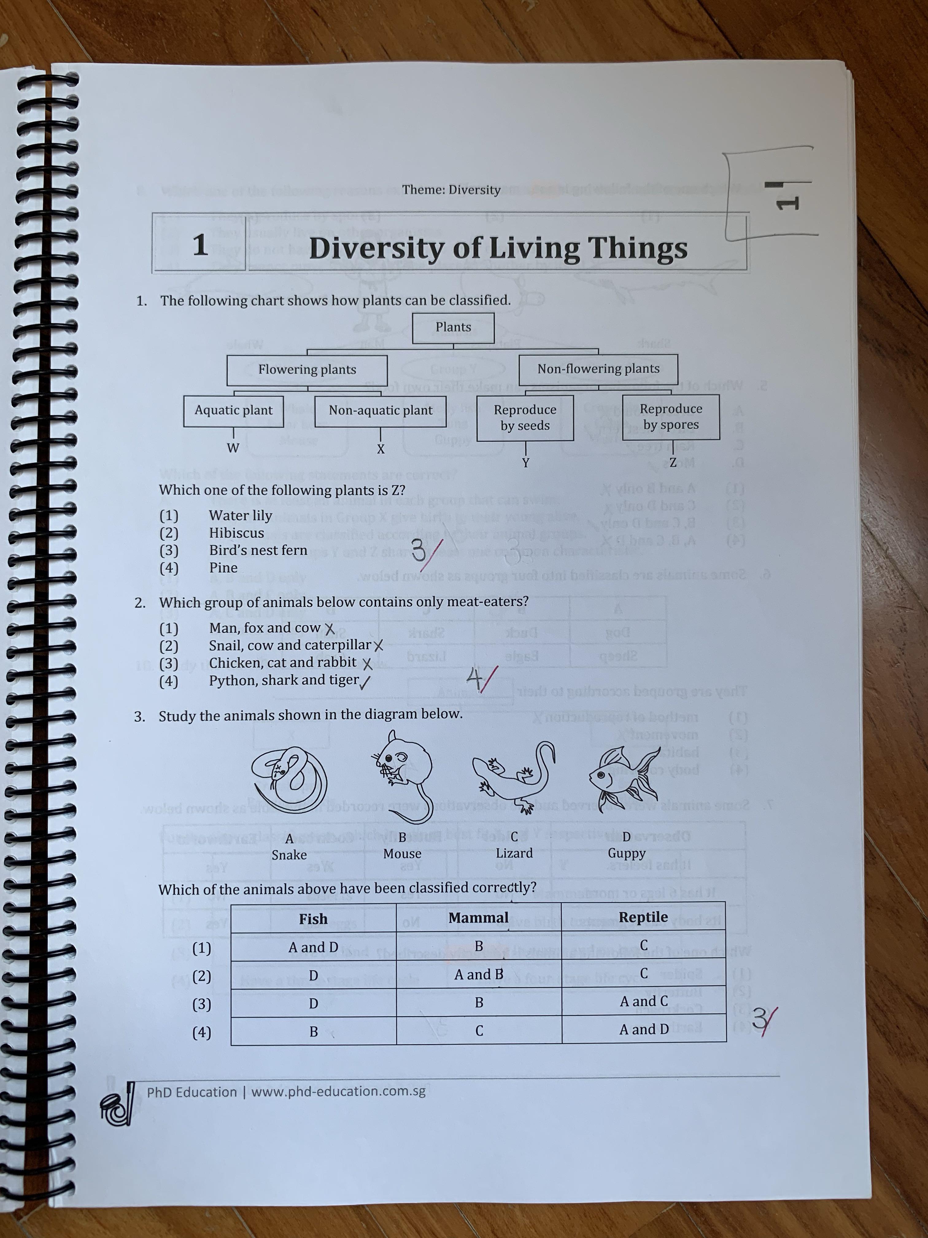 PSLE P6 Science Exam Package with Solutions booklet, Hobbies & Toys ...