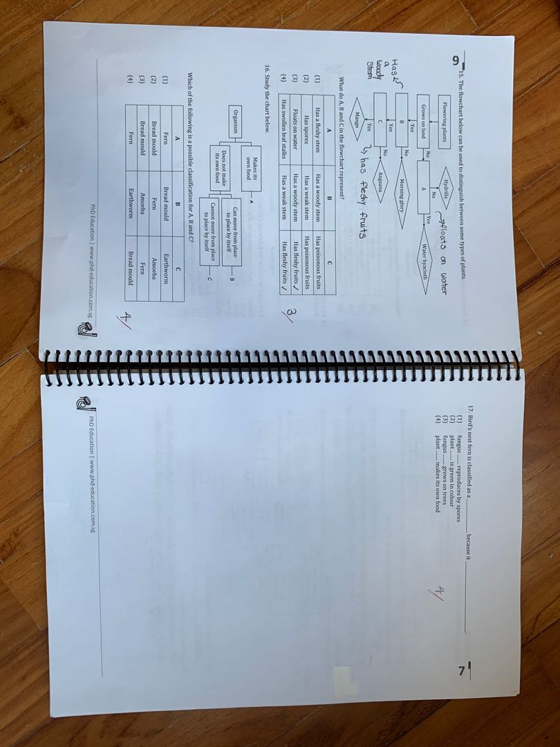PSLE P6 Science Exam Package with Solutions booklet, Hobbies & Toys ...