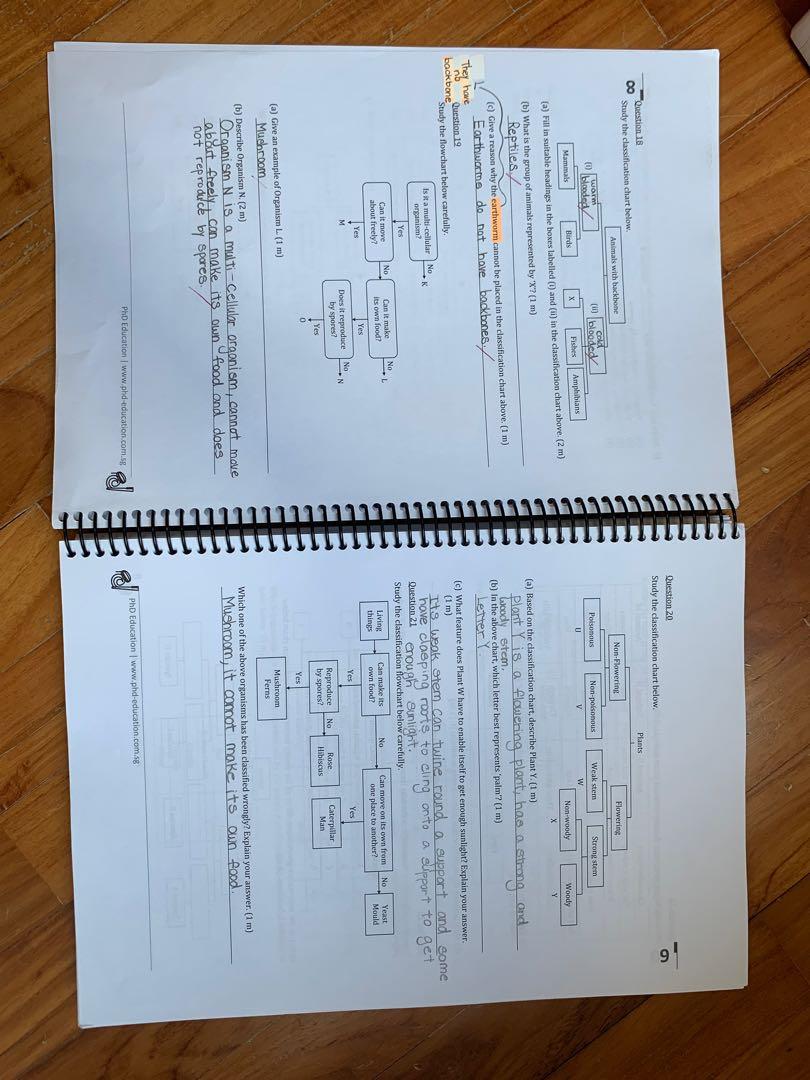 PSLE P6 Science Exam Package with Solutions booklet, Hobbies & Toys ...