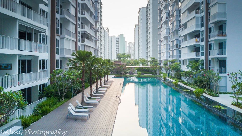 Ecopolitan, Property, Rentals, Room Rentals on Carousell