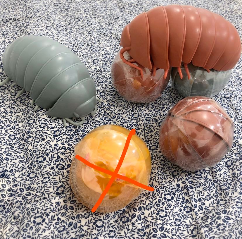 Bandai Gashapon dango mushi dangomushi pill bug roly poly, Hobbies ...