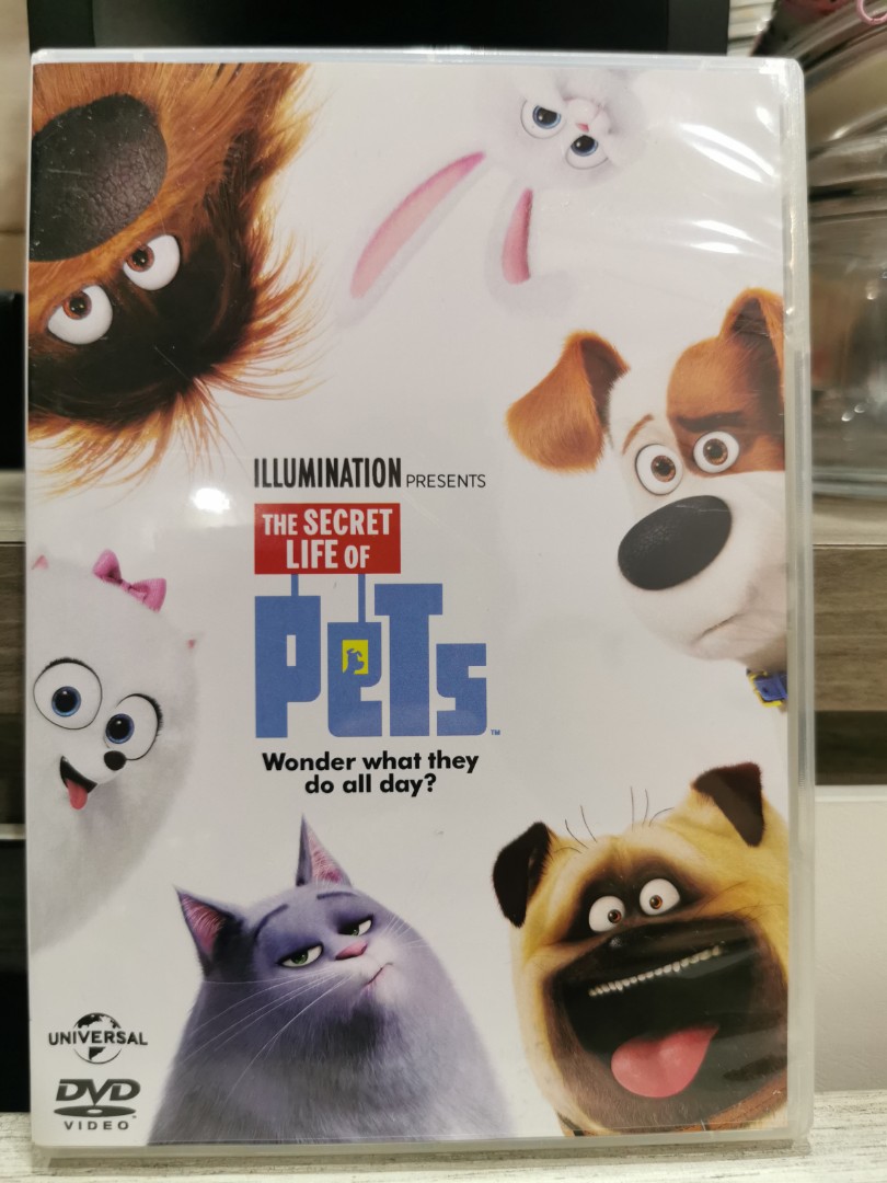 The secret life of pets DVD, Hobbies & Toys, Music & Media, CDs & DVDs ...
