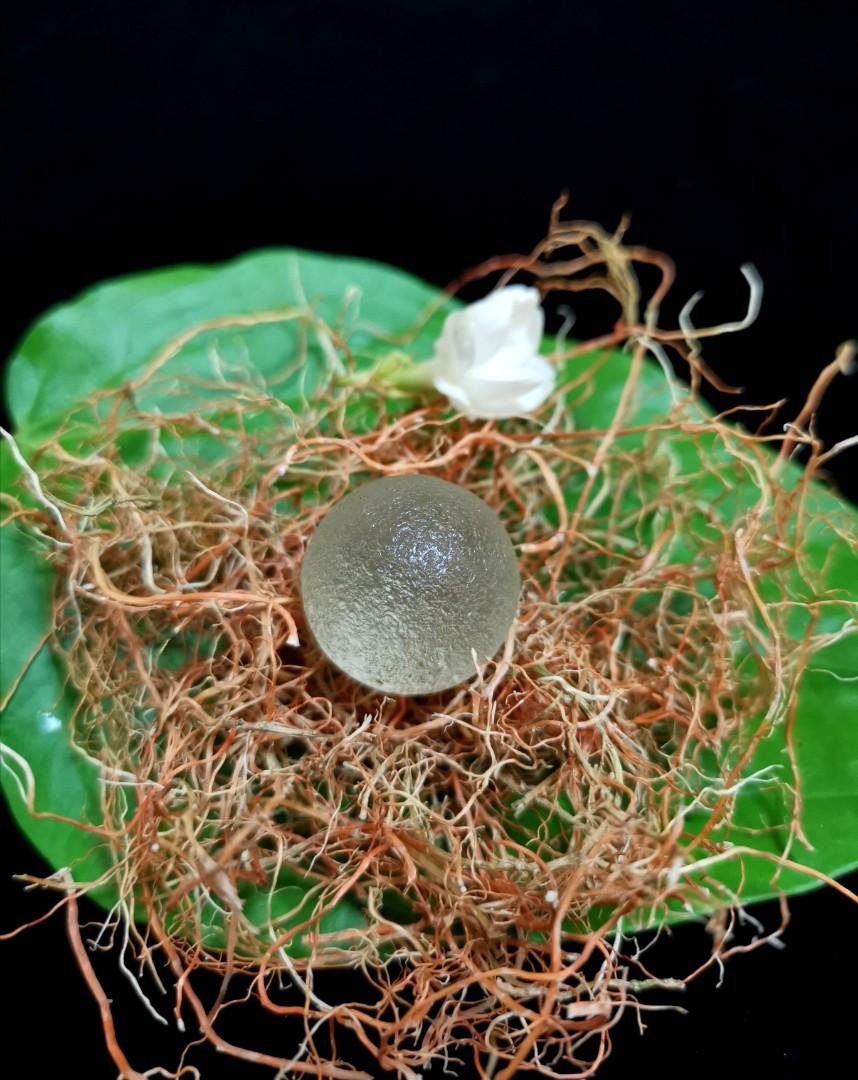 100% Water Mustika Pearl, Everything Else on Carousell