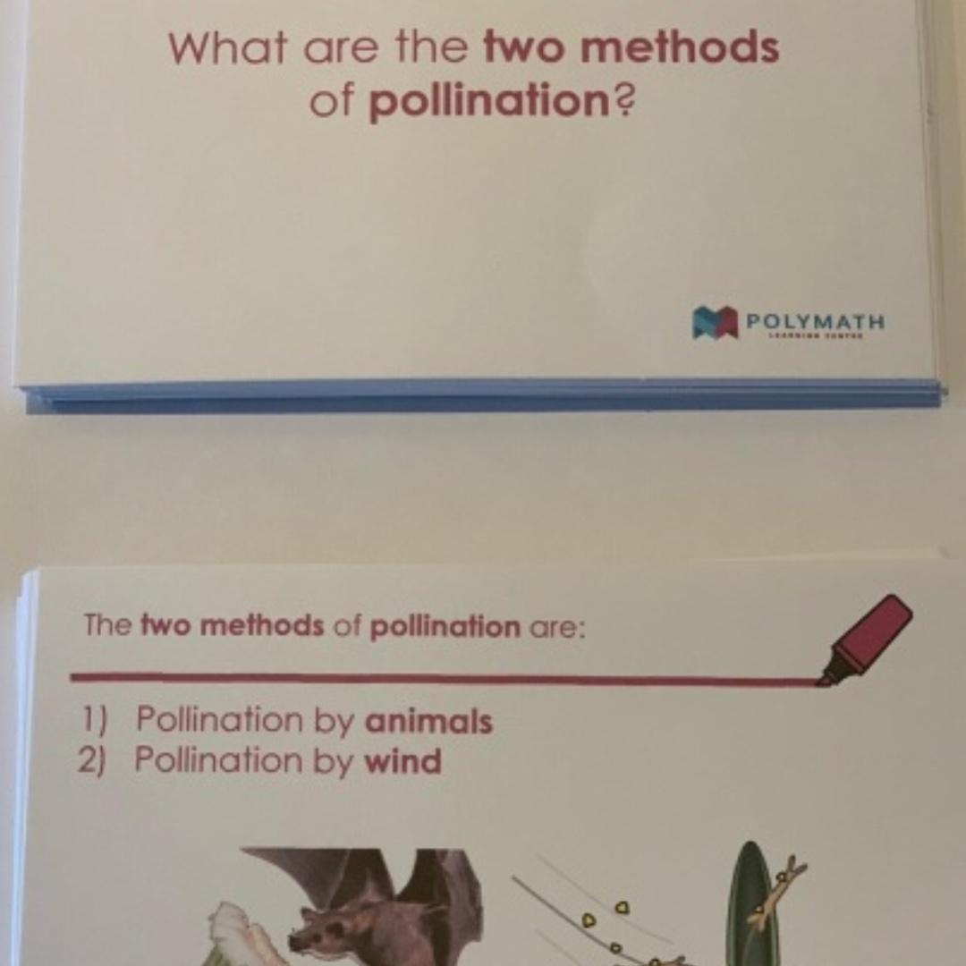 Polymath learning centre science flashcards, Hobbies & Toys, Books ...