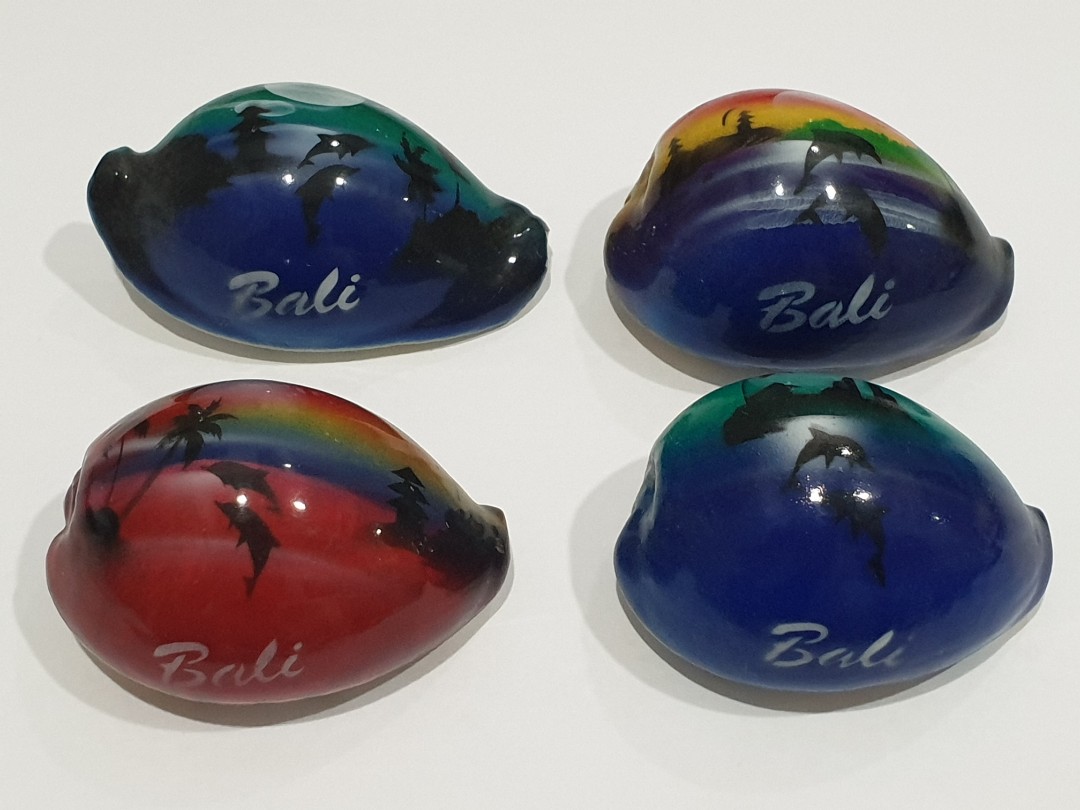 Souvenir Seashells from Bali, Everything Else on Carousell