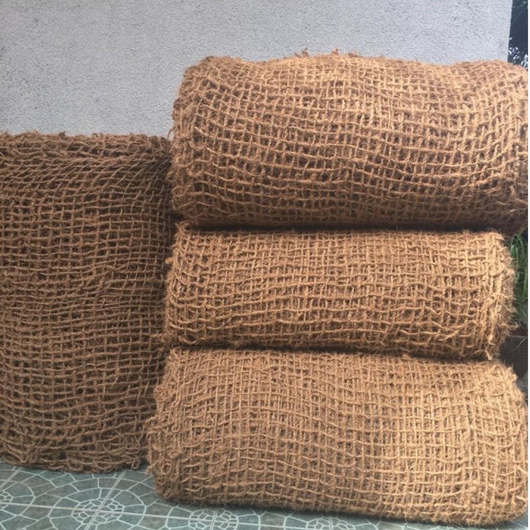 Vetiver Grass and Coco Nets for Slope Protection, Commercial ...