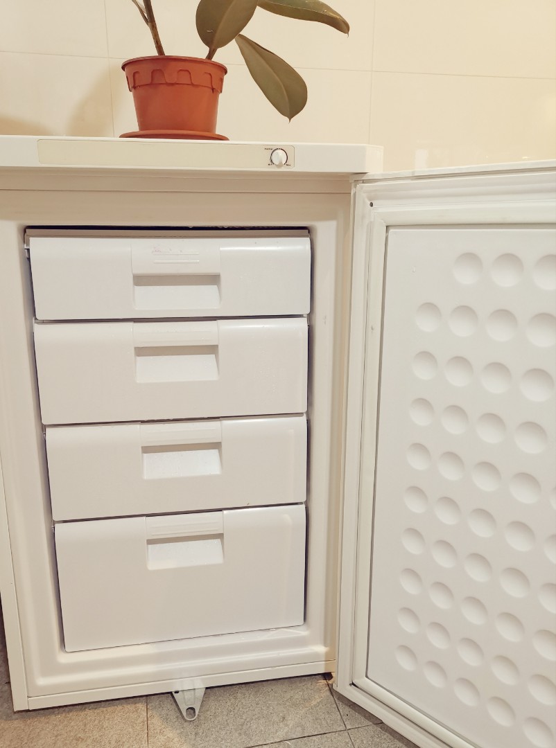 Farfalla freezer 120L for breast milk, Babies & Kids, Nursing & Feeding ...