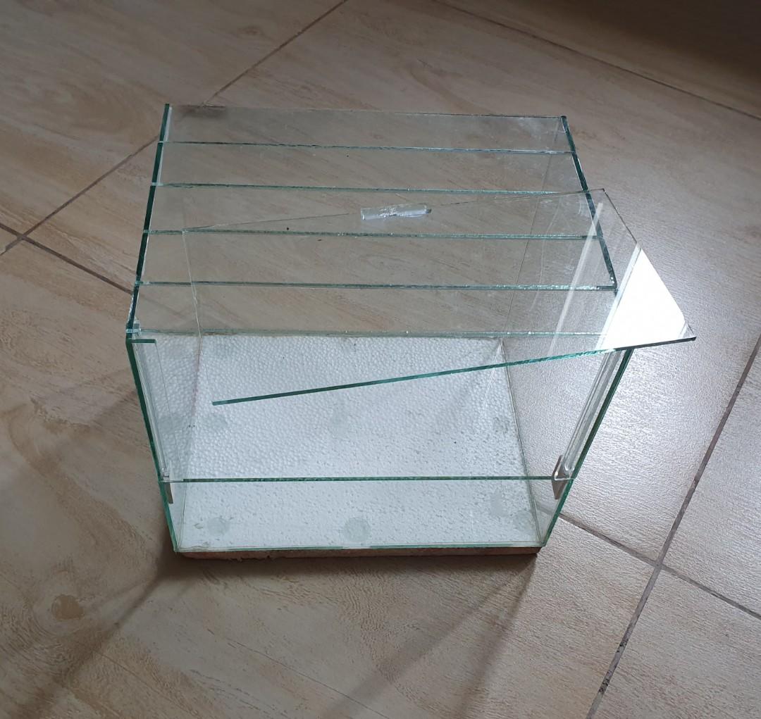 Glass enclosure for tarantula, reptiles like geckos, Pet Supplies ...