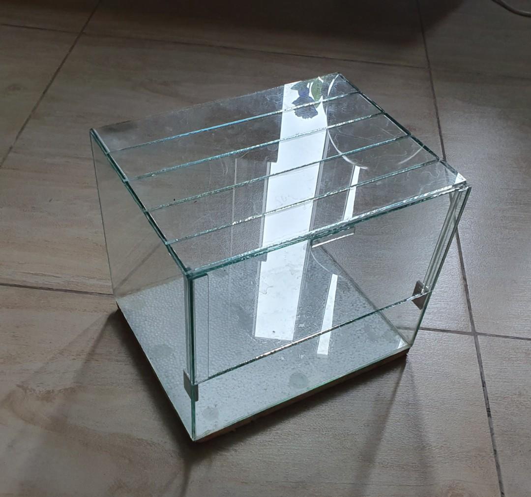 Glass enclosure for tarantula, reptiles like geckos, Pet Supplies ...