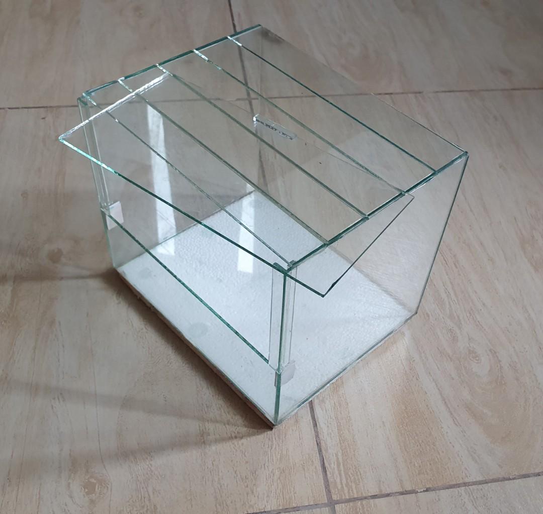 Glass enclosure for tarantula, reptiles like geckos, Pet Supplies ...