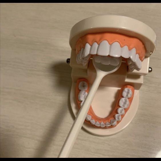 DENTIST KIT DENTAL TEETH MODEL MONTESSORI TOY TOOLS BRUSH TEETH toddler ...