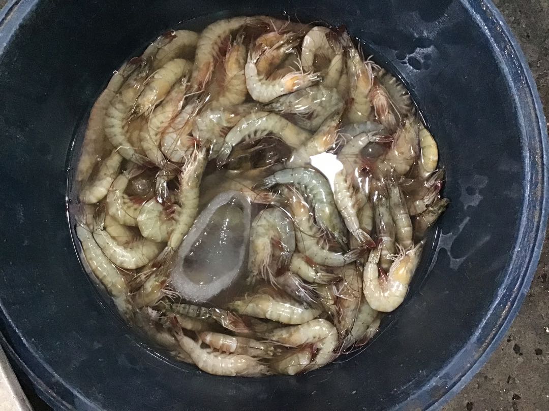 Hipong swahe / Hipon, Food & Drinks, Local Eats on Carousell