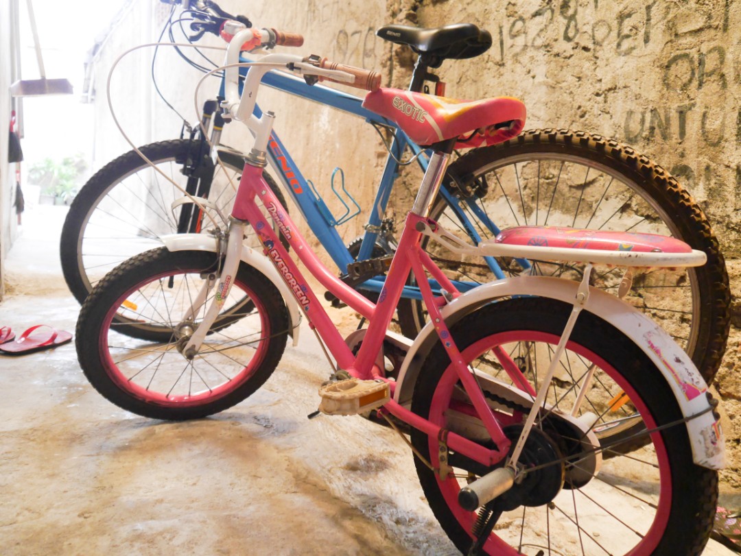 Sepeda gunung genio exotic, Olah Raga, Sepeda di Carousell