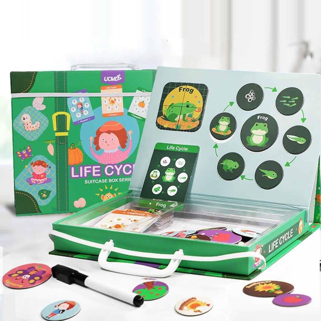 Life Cycle Suitcase Box Series, Hobbies & Toys, Toys & Games on Carousell