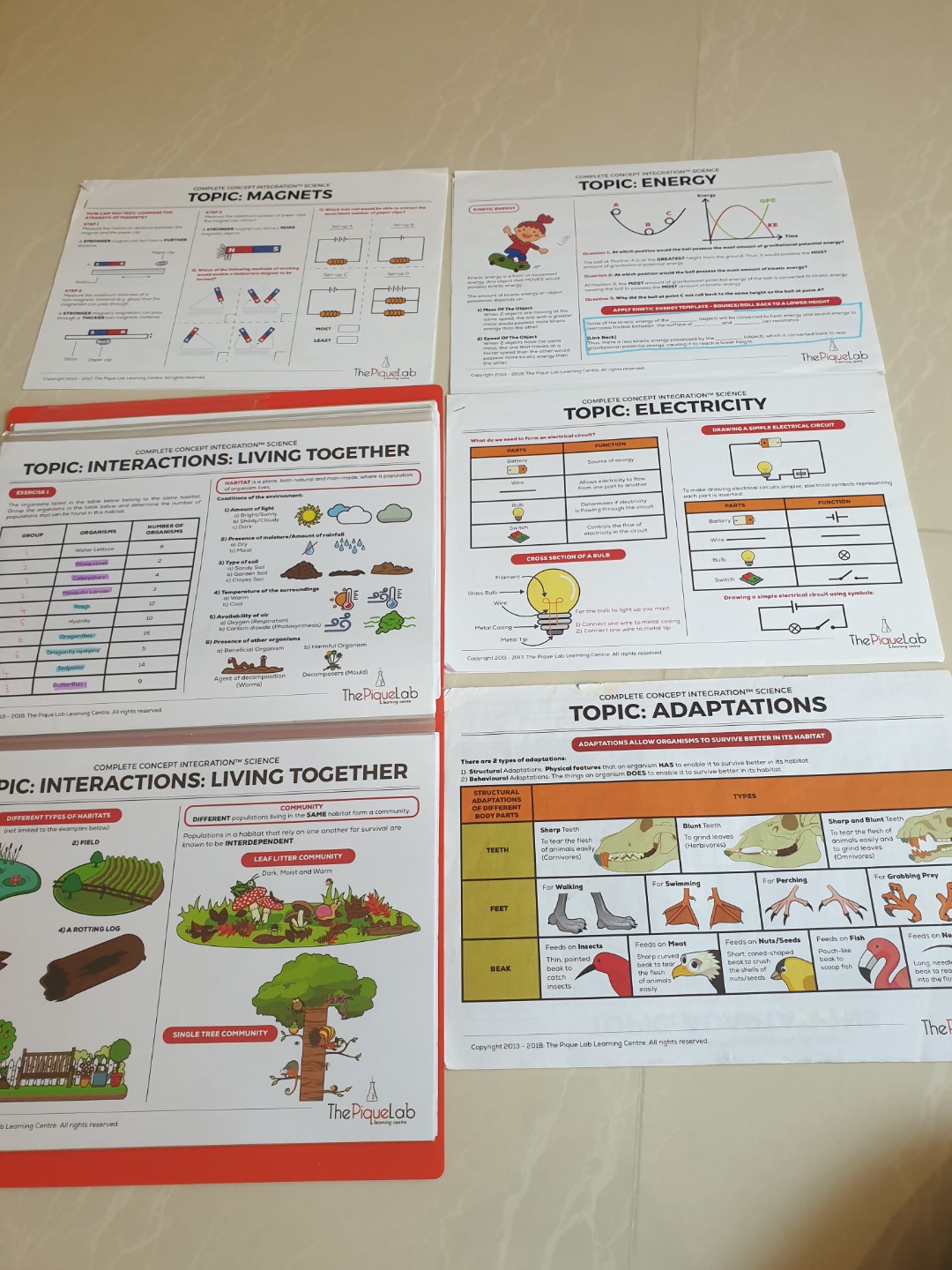 Pique Lab Notes n Worksheet for P6 and Term3,4 P5, Hobbies & Toys ...