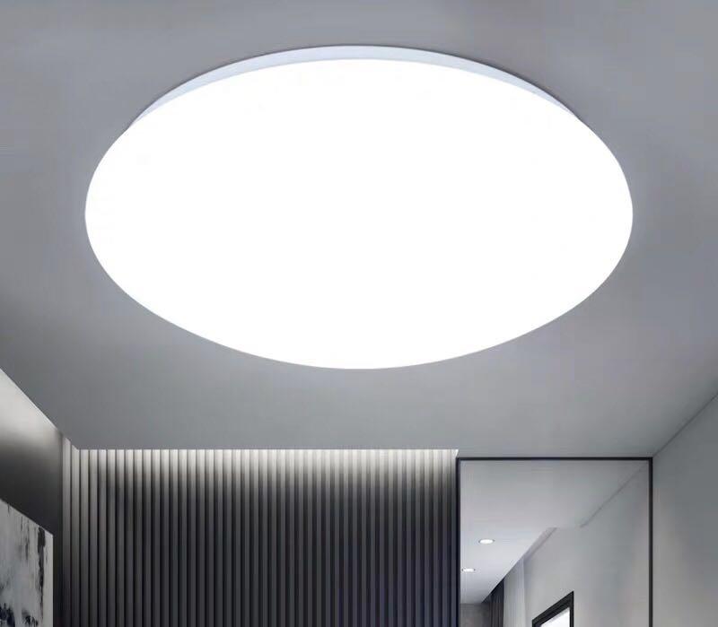 Shell Led Ceiling Light, Furniture & Home Living, Lighting & Fans ...