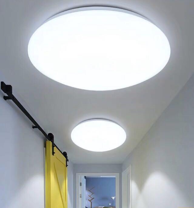 Shell Led Ceiling Light, Furniture & Home Living, Lighting & Fans ...